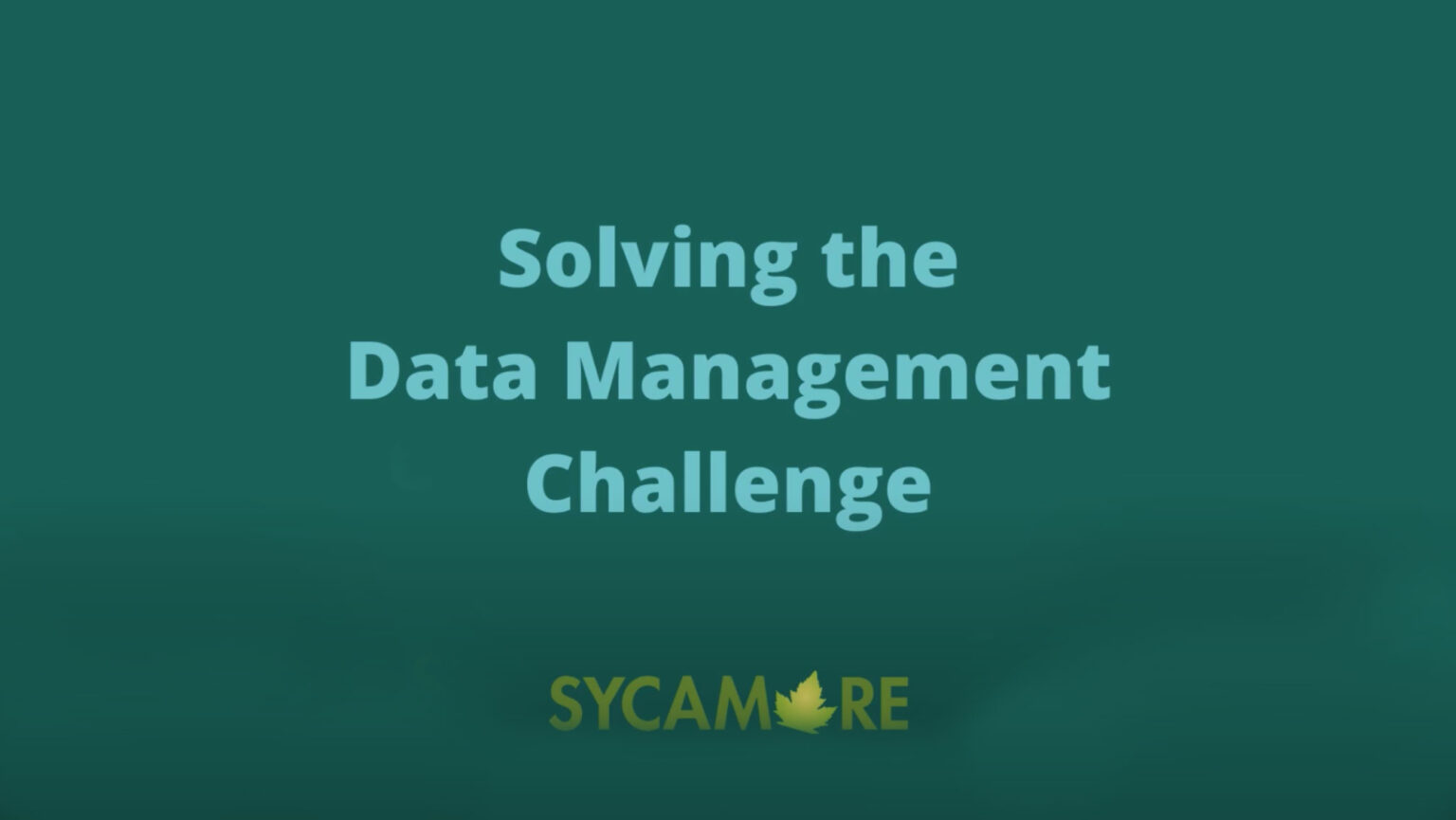 Data Management – Sycamore Company